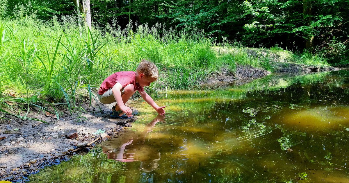 River Pearls - River Pearl PLUS