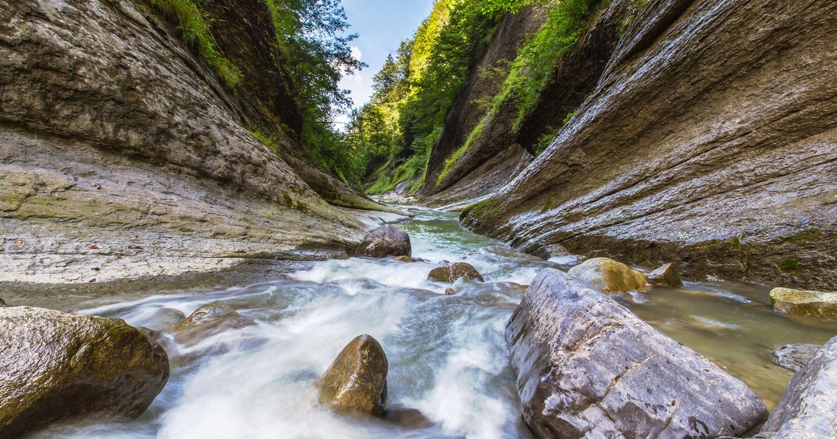 Label - River Pearl PLUS